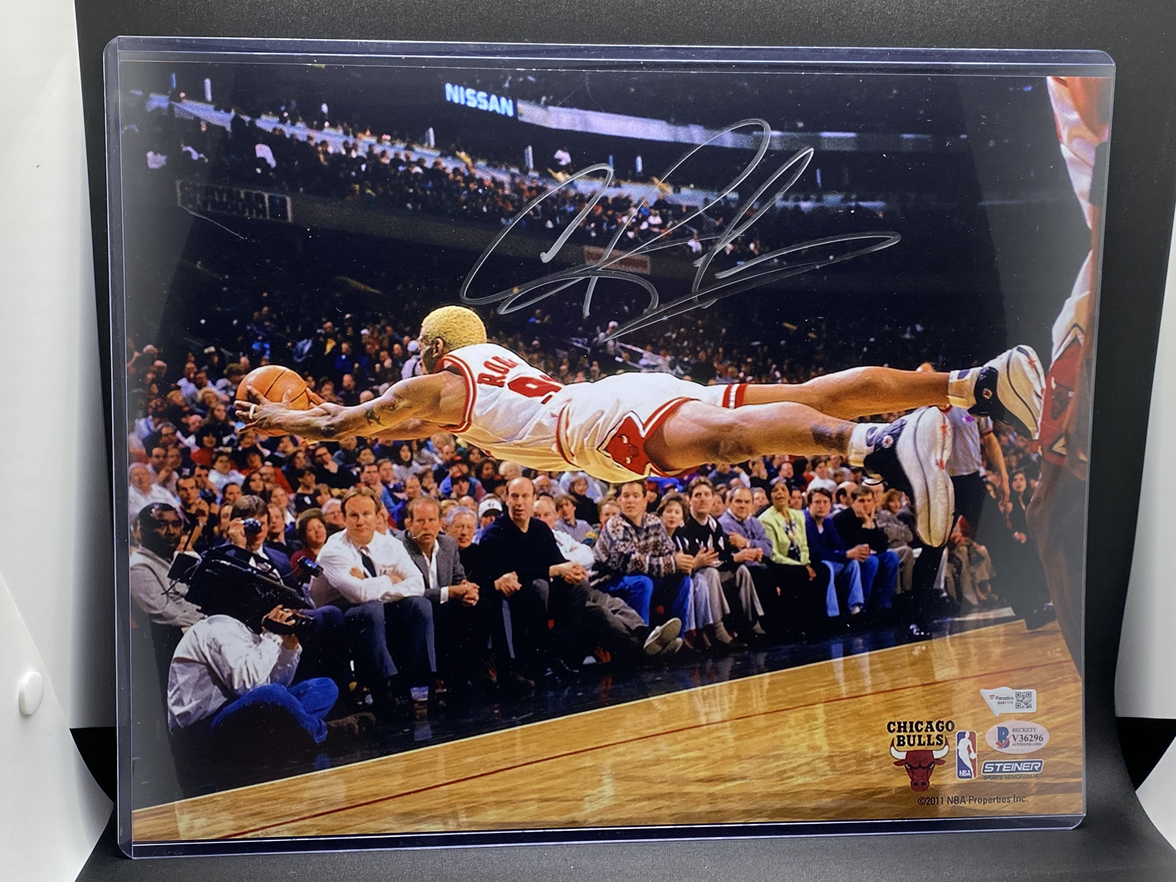 Dennis Rodman Chicago Bulls Autographed 11 X 14 Dive Photograph